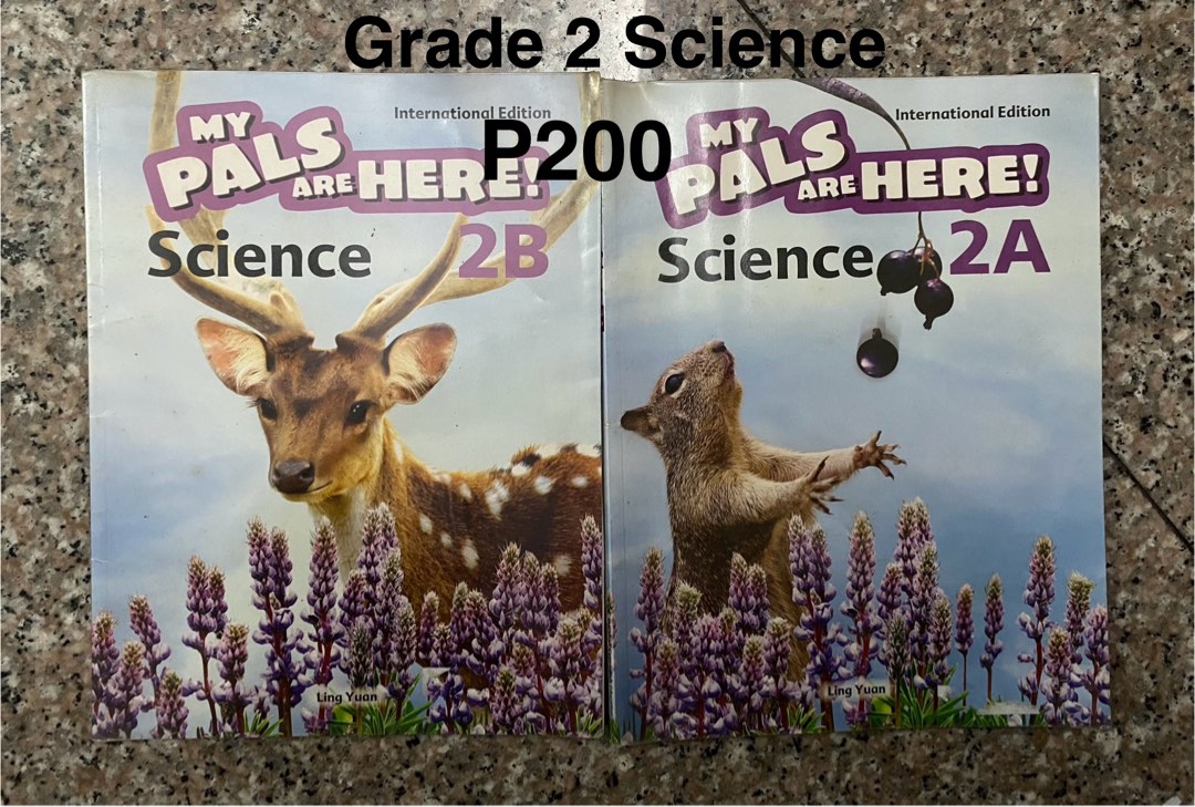 My Pals are here Math / Science Pupils Book Set, Hobbies & Toys, Books ...