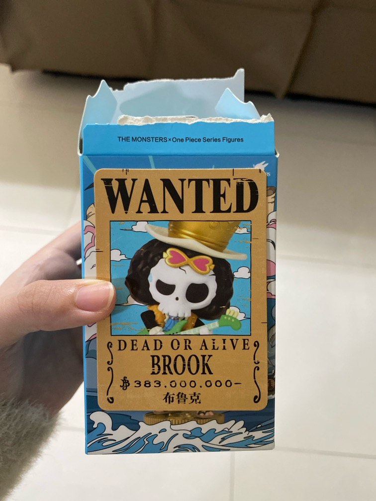 WTT/WTS One Piece Labubu Brook, Hobbies & Toys, Memorabilia ...