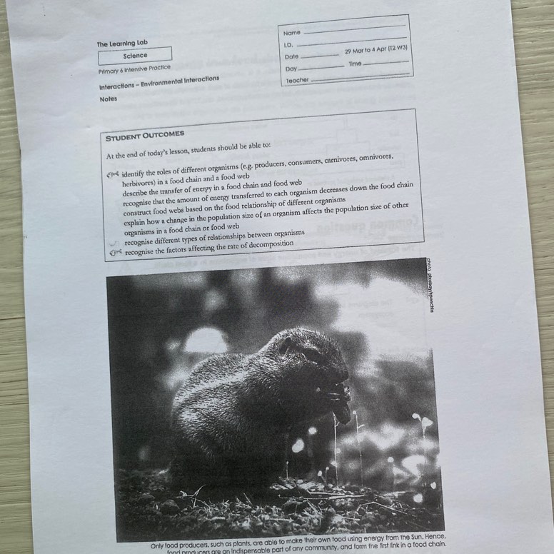 Psle science notes (full year), Hobbies & Toys, Books & Magazines ...