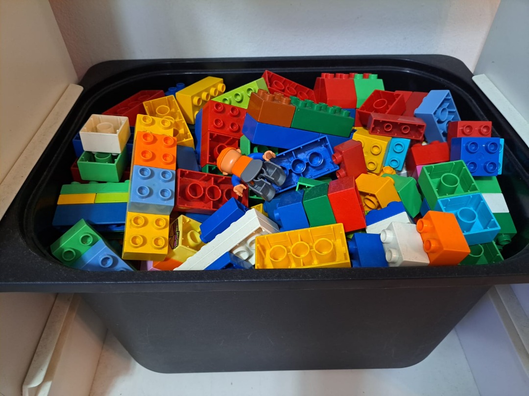 Lego Duplo blocks (Various shapes and sizes), Hobbies & Toys, Toys ...