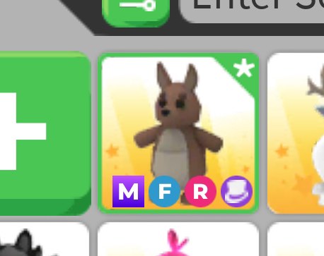 mfr kangaroo (adopt me), Video Gaming, Gaming Accessories, In-Game ...