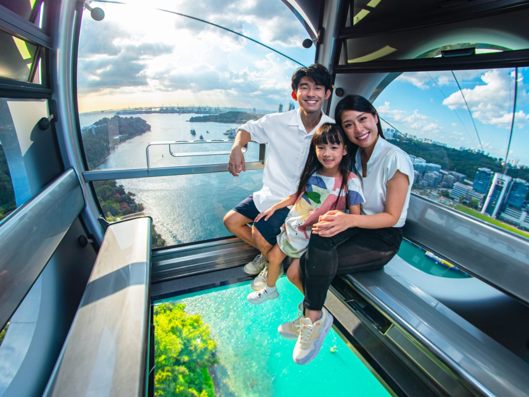 Singapore Cable Car Sky Pass - Mount Faber Line and Sentosa Line (Round ...