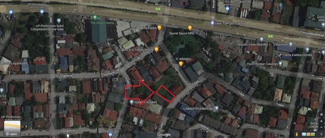 Vacant Lot for Sale St Dominic 4 Subd Tandang Sora Culiat QC, Property ...