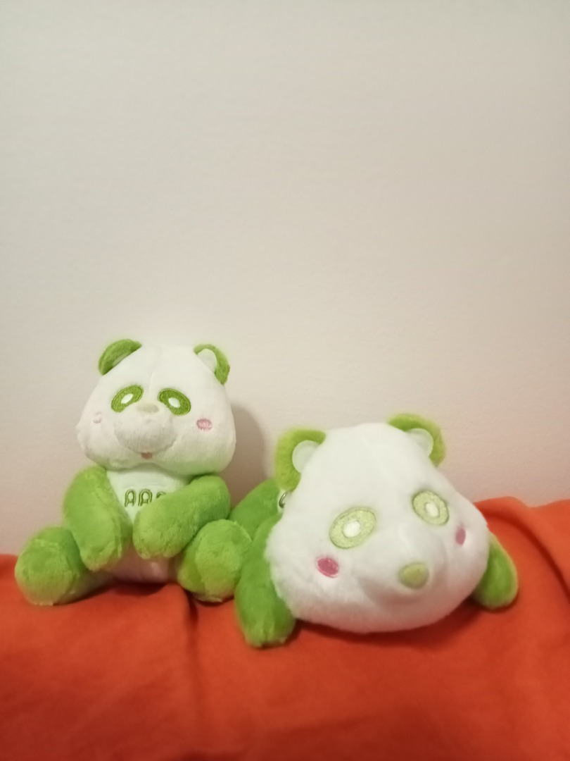AAA E~Panda - Green, Naoya Urata Plush, Hobbies & Toys, Toys & Games on ...