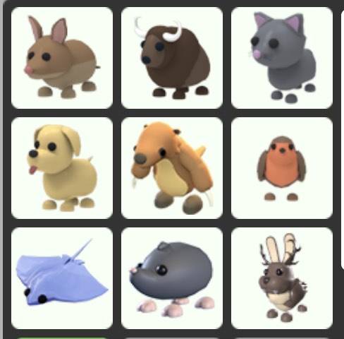 Adopt Me COMMON Pets RM0.2, Video Gaming, Video Games, Others on Carousell