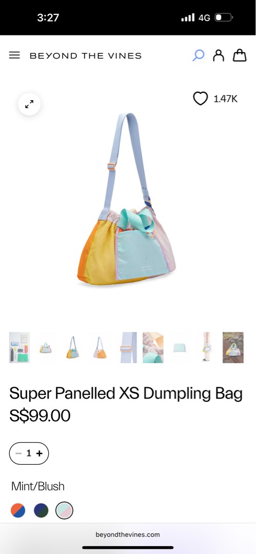 BTV super panelled xs dumpling bag, Women's Fashion, Bags & Wallets ...