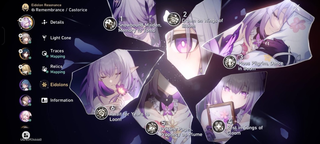 E6 Castorice Honkai Star Rail, Everything Else, Others on Carousell