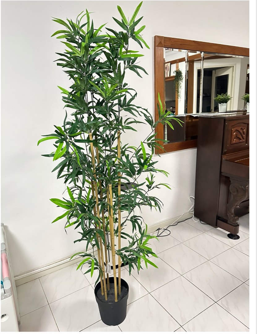 Ikea Artificial Bamboo Plant, Furniture & Home Living, Home Decor ...