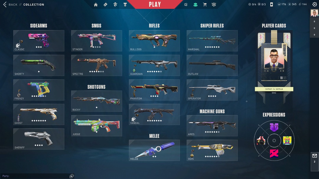 RUIN DAGGER & CHAMPS 2022 | UNRANKED | 27 Premium Skins | 2 VP SKINS ...