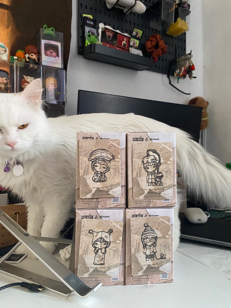 hirono new ECHO SERIES hiding behind you daydreaming SEALED, Hobbies ...