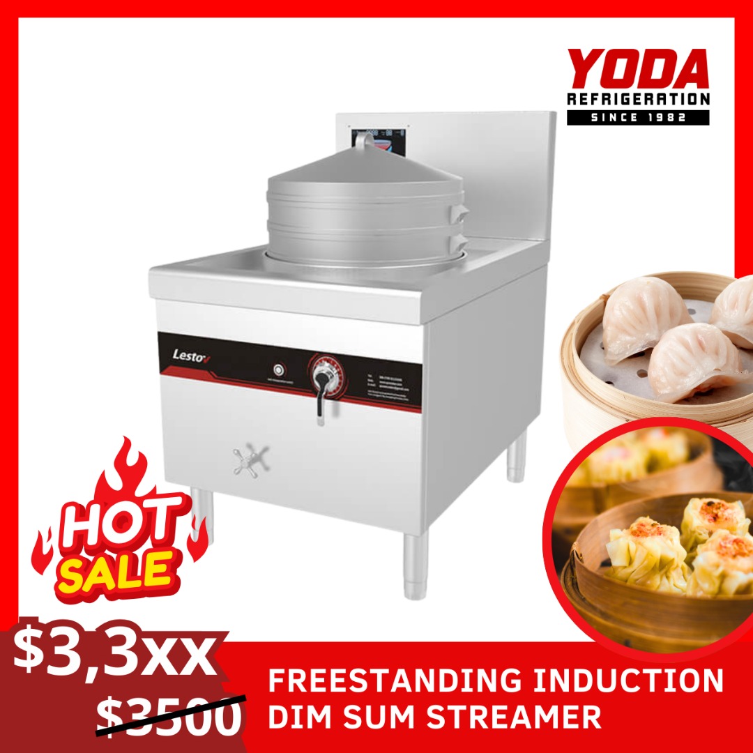 Induction Dim Sum Streamer - Freestanding, TV & Home Appliances ...