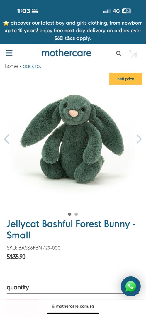 Jellycat Bashful Forest Green Bunny - Small, Hobbies & Toys, Toys ...