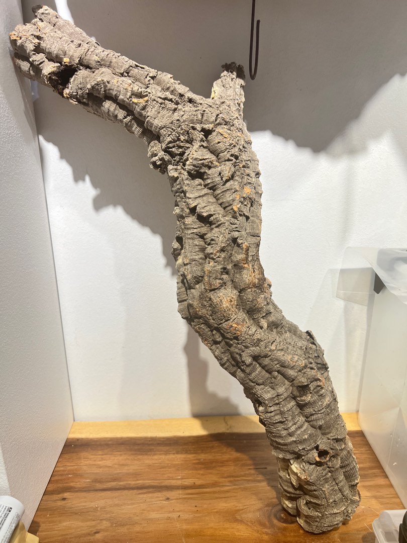 Cork Bark Tunnel, Furniture & Home Living, Gardening, Pots & Planters ...