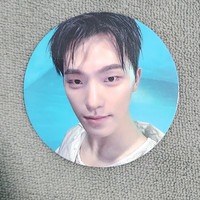 Dino Circle Photocard Apple Music POB - Official from SEVENTEEN Album ...