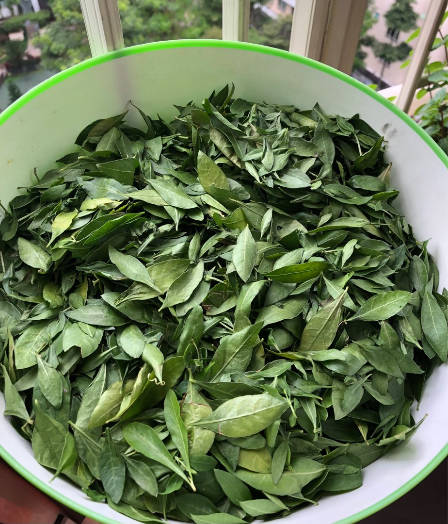 Fresh henna leaves ( Mehndi/ Marudhani), Beauty & Personal Care, Hair ...