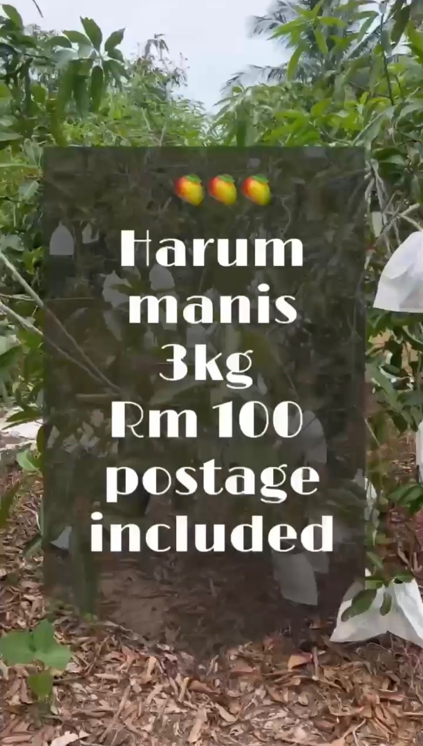 Harum Manis Perlis, Food & Drinks, Fresh Produce on Carousell
