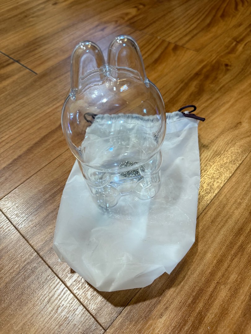 Labubu Plastic Case, Hobbies & Toys, Memorabilia & Collectibles, Fan ...