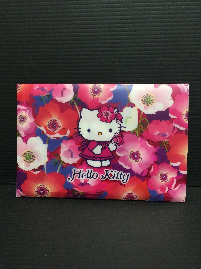 Sanrio Hello Kitty 2002年小紅菊信封信紙組連收納膠夾, 興趣及遊戲, 手作＆自家設計, 文具 - Carousell