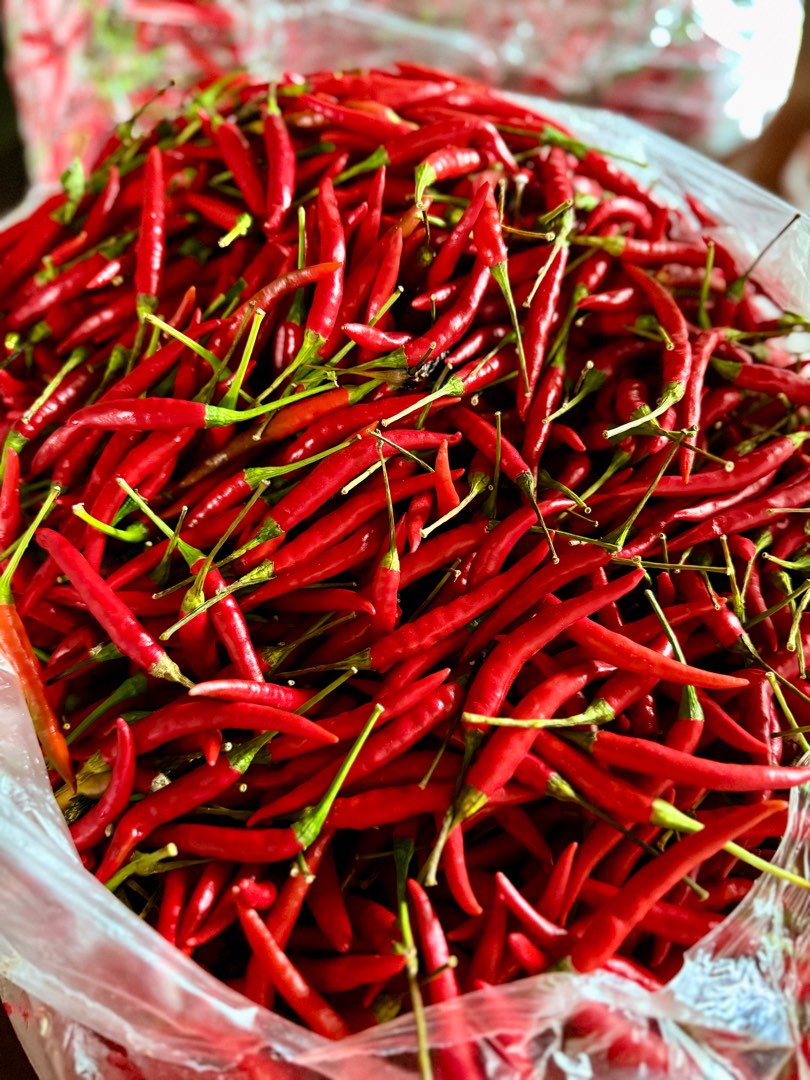 🔥 FRESH CHILI SILING LABUYO – STRAIGHT FROM BATAAN! 🔥, Food & Drinks ...