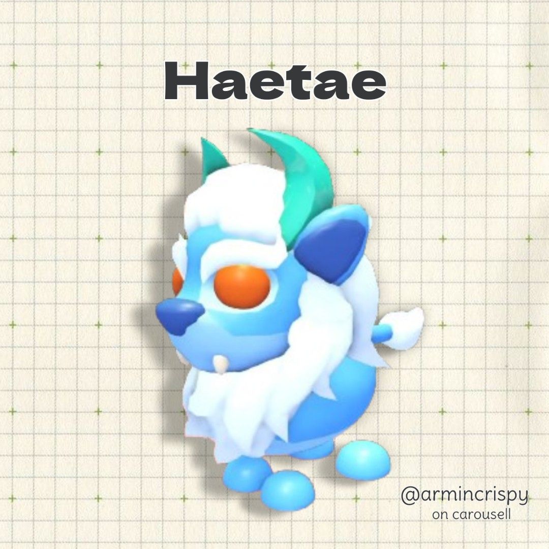 Haetae | Adopt Me ROBLOX, Video Gaming, Video Games, Others on Carousell