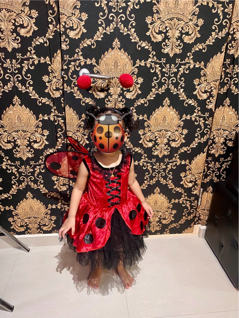 Lady Bug Bee Costume for Girls, Babies & Kids, Babies & Kids Fashion on ...