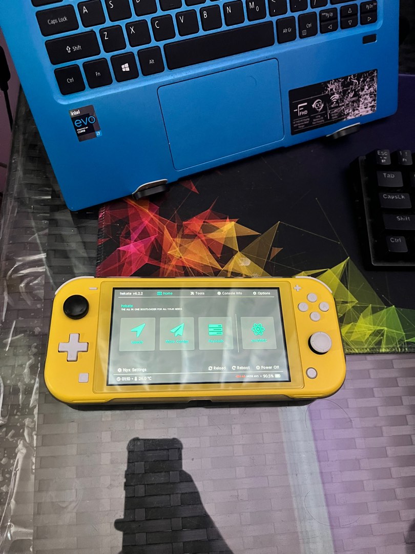 Nintendo Switch Lite Modded, Video Gaming, Video Game Consoles ...