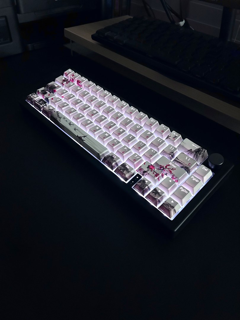 65% Custom Mechanical Keyboard (Shanshui Shine-thru keycaps), Computers ...