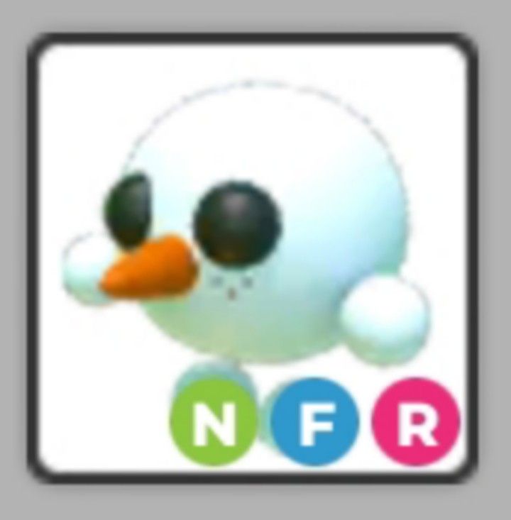 Adopt me NFR snowball pet, Video Gaming, Video Games, Others on Carousell