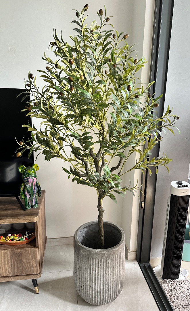 Artificial Olive tree with Cement pot, Furniture & Home Living, Home ...