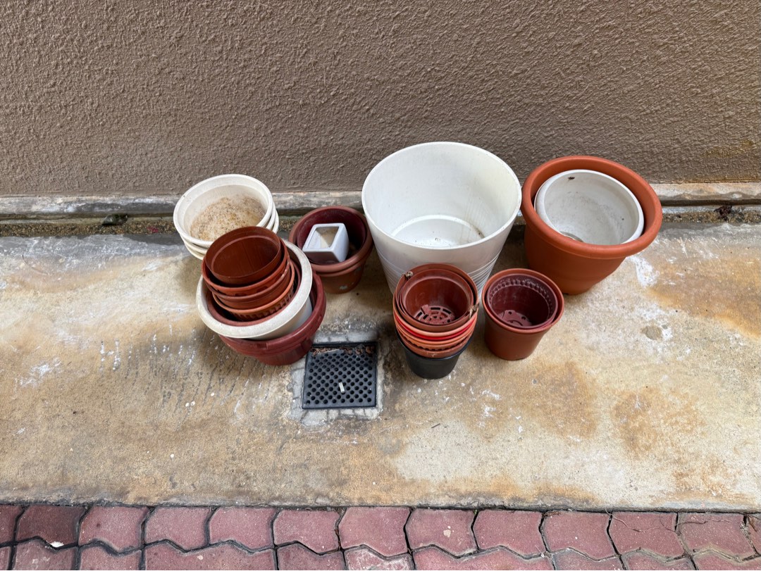 Free plant pots, Furniture & Home Living, Gardening, Pots & Planters on ...