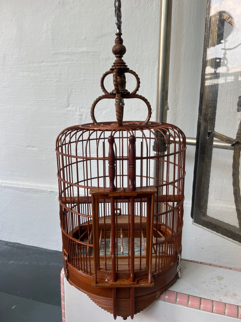 Magpie bird cage / HB cage, Pet Supplies, Homes & Other Pet Accessories ...