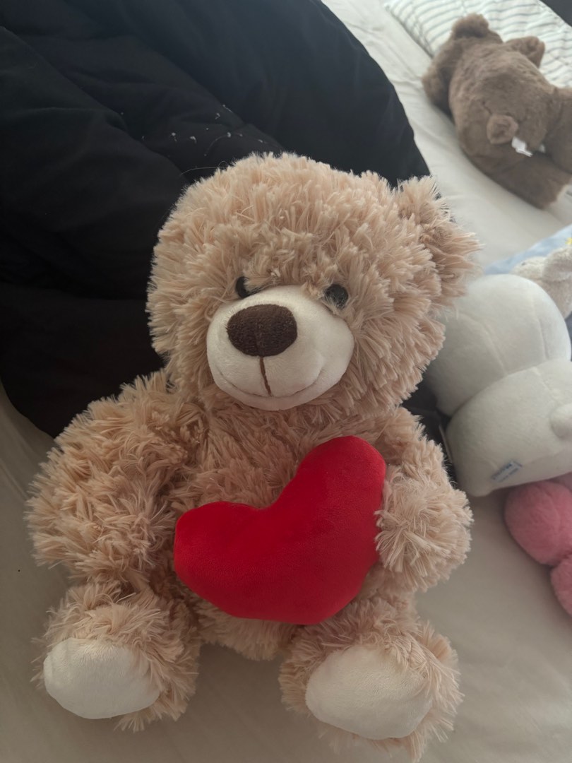 Miniso teddy, Hobbies & Toys, Toys & Games on Carousell