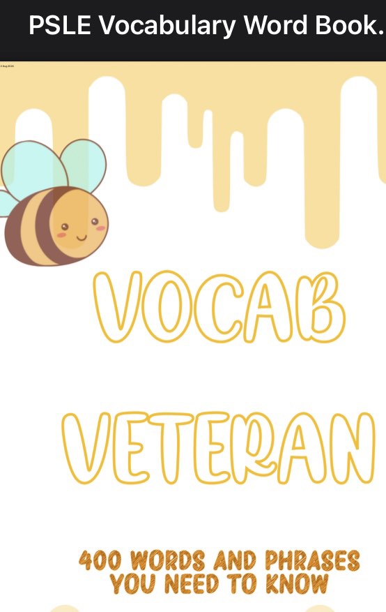 Psle vocabulary (400 words), Hobbies & Toys, Books & Magazines ...