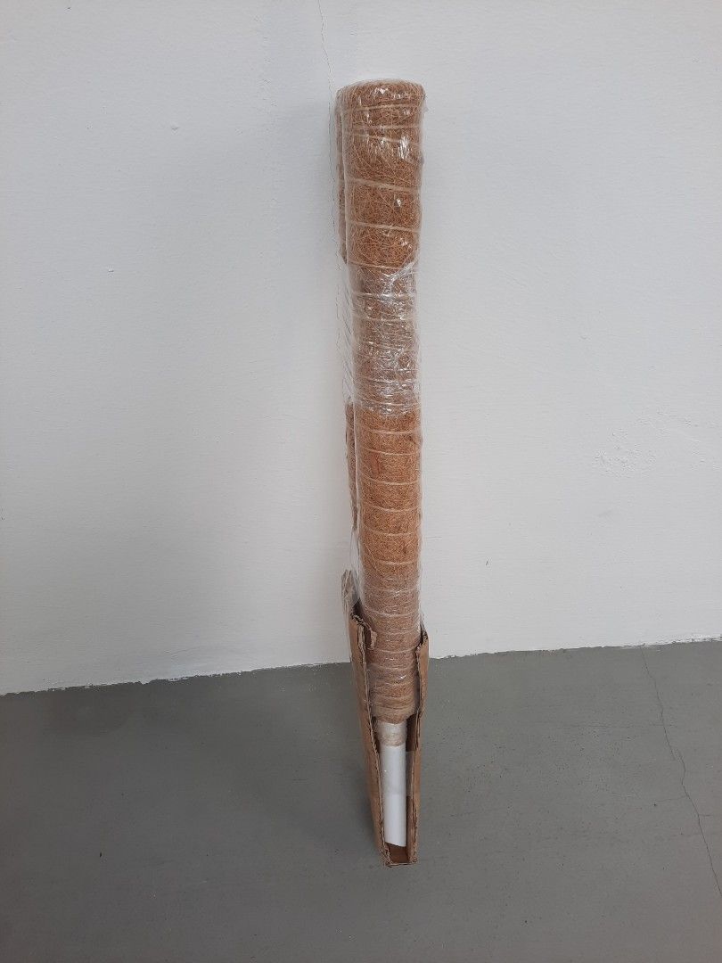 2x Coir Plant Pole 60cm (extendable, pvc tube), Furniture & Home Living ...