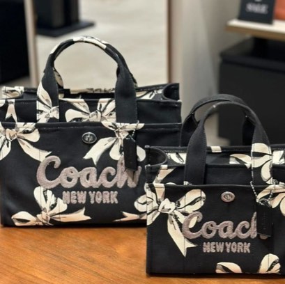 Coach Ribbon Tote Bag, Women's Fashion, Bags & Wallets, Tote Bags on ...