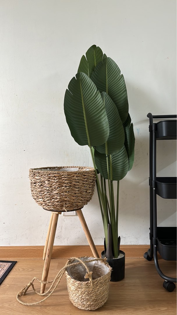 POKOK RUMAH/ POKOK DECO, Furniture & Home Living, Home Decor ...