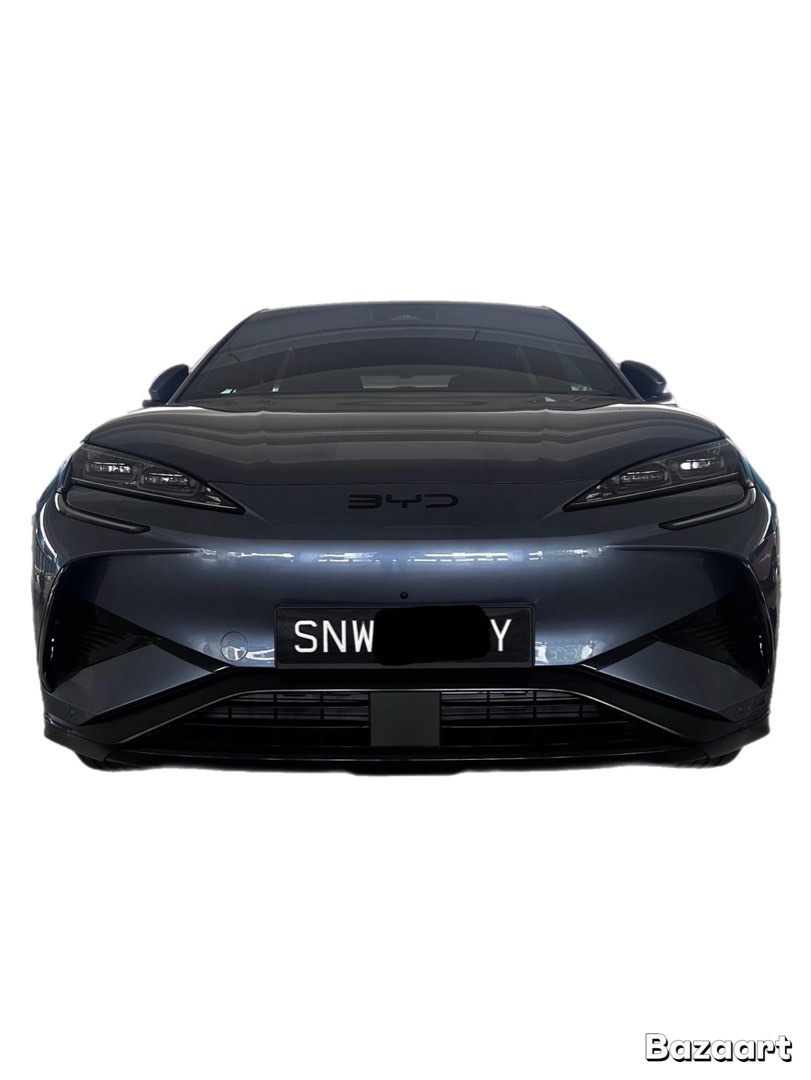 PROMO 🔥 FRAMELESS LICENSE PLATE + MATTE CHROME LICENSE PLATE 🔥BYD ...