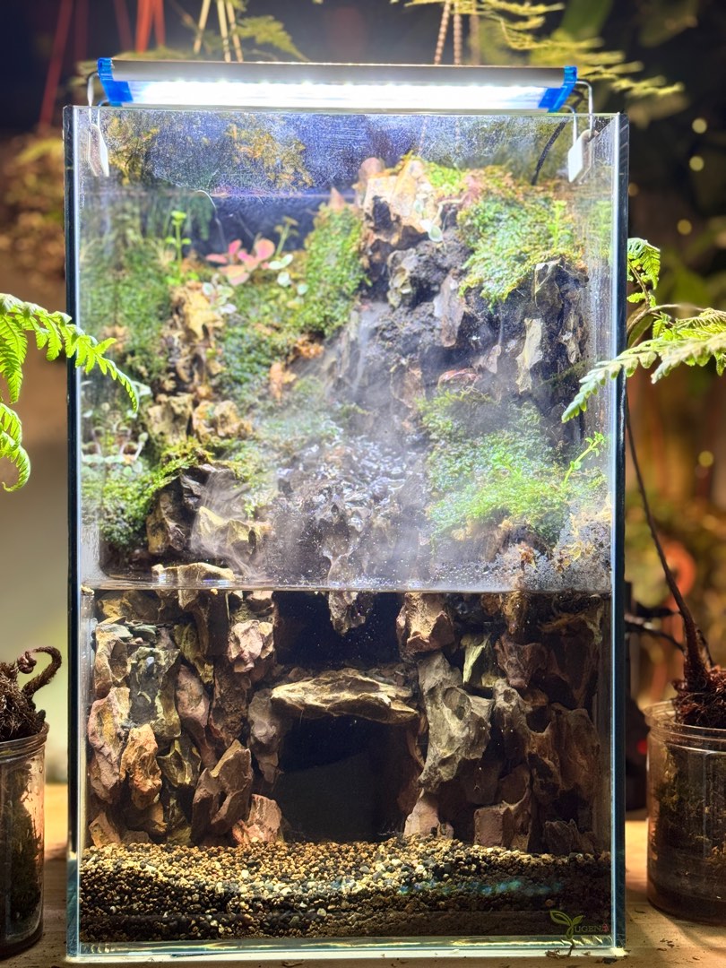 Rocky River Stream |30x30x45| Paludarium | Terrarium | Aquarium, Pet ...