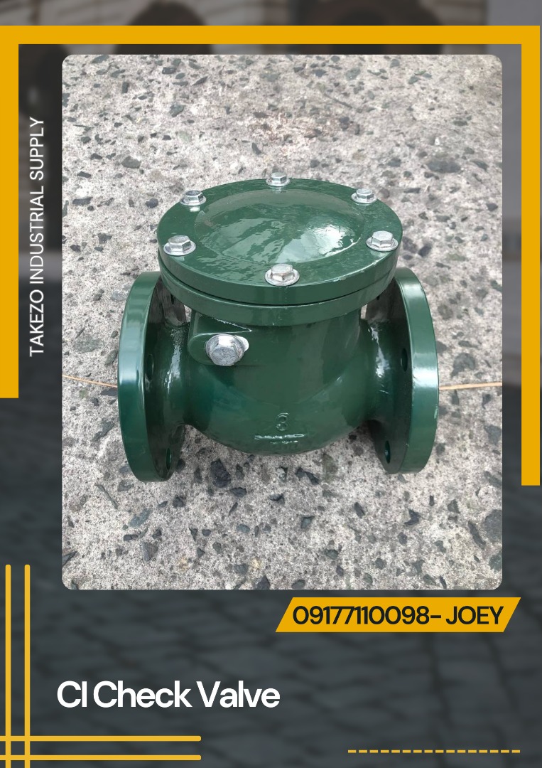 CI Check Valve, Furniture & Home Living, Furniture, Other Home ...