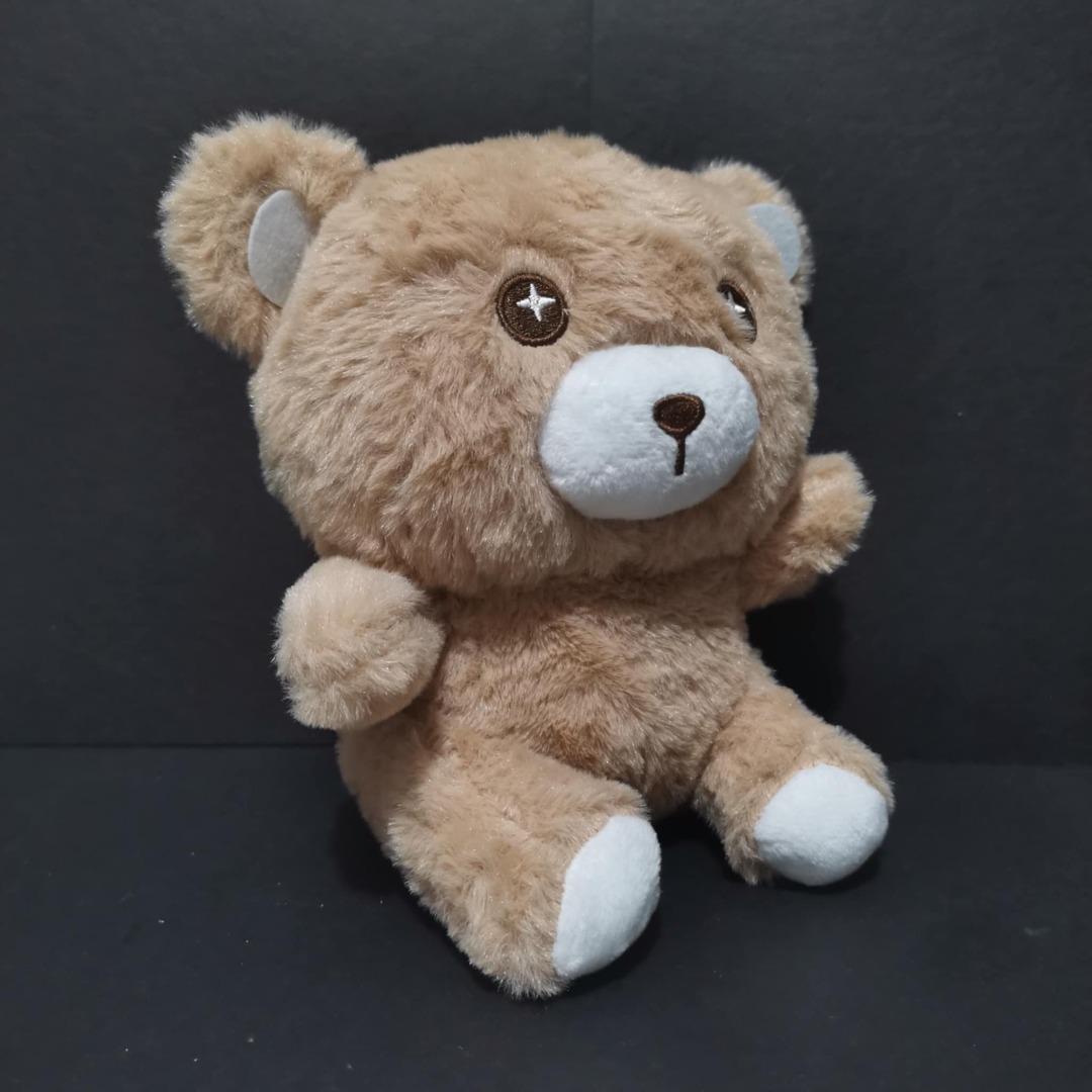 (Free Shipping) 17cm Bear Plush (other tags: teddy, pop mart, hirono ...