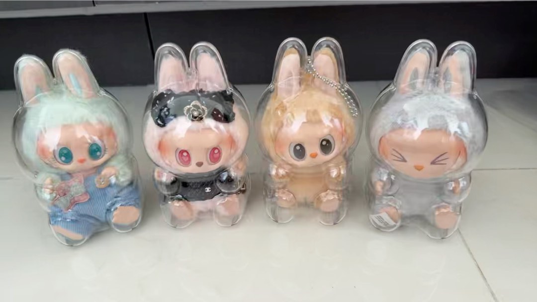Labubu with Clear Acrylic Casing, Hobbies & Toys, Toys & Games on Carousell