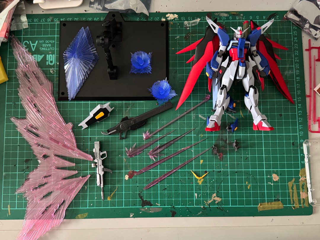 Very Angry Bird 1/144 Destiny Gundam, Hobbies & Toys, Toys & Games on ...