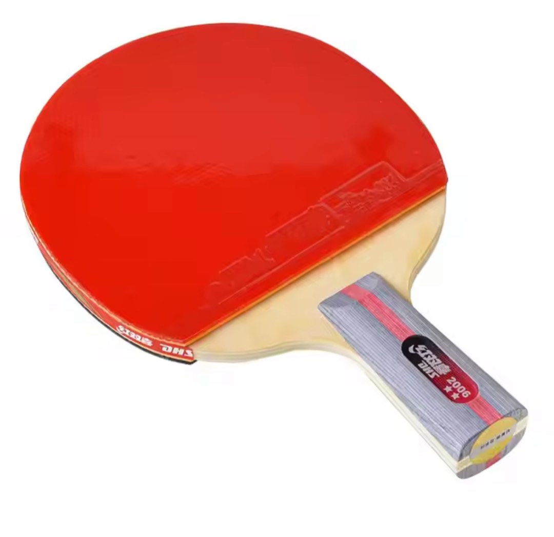 4 FREE BALLS! Shakehand Ping Pong/ Table Tennis Racket 2006 DHS 2 Stars ...