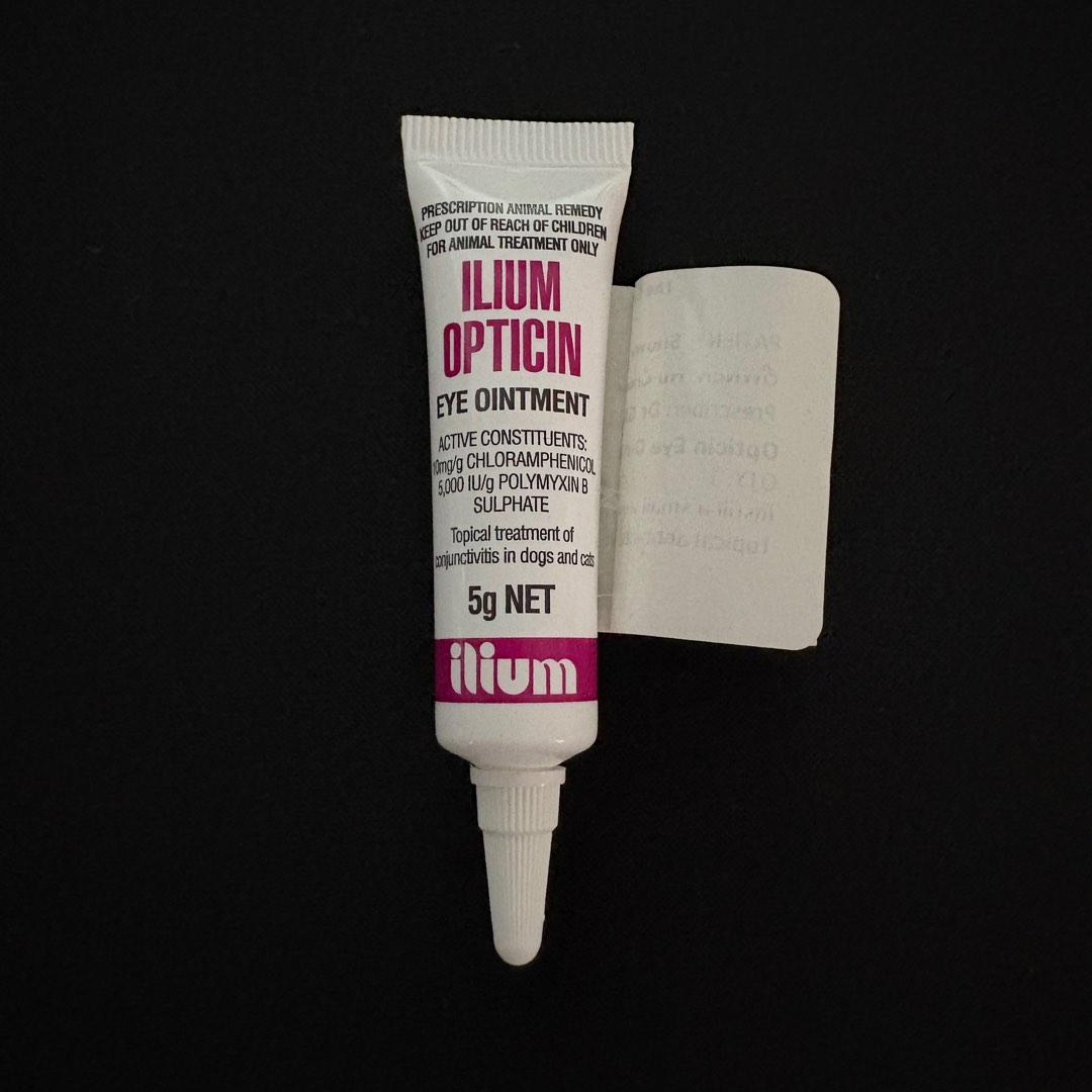 Ilium Opticin Eye Ointment 5g / Dog / Cat / Cataract / Conjunctivitis ...
