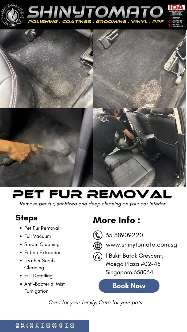 Pet Fur Removal Service, Car Accessories, Car Workshops & Services on ...