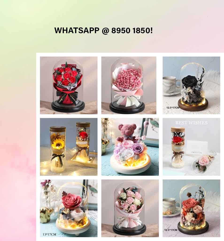 Preserved flower Birthday Anniversary Surprise Gift Fairy Light ...