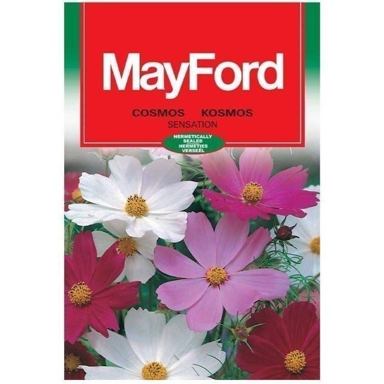 {WILDFLOWER GARDEN} MAYFORD Seeds Cosmos / Daisy / Daisies Flowers ...