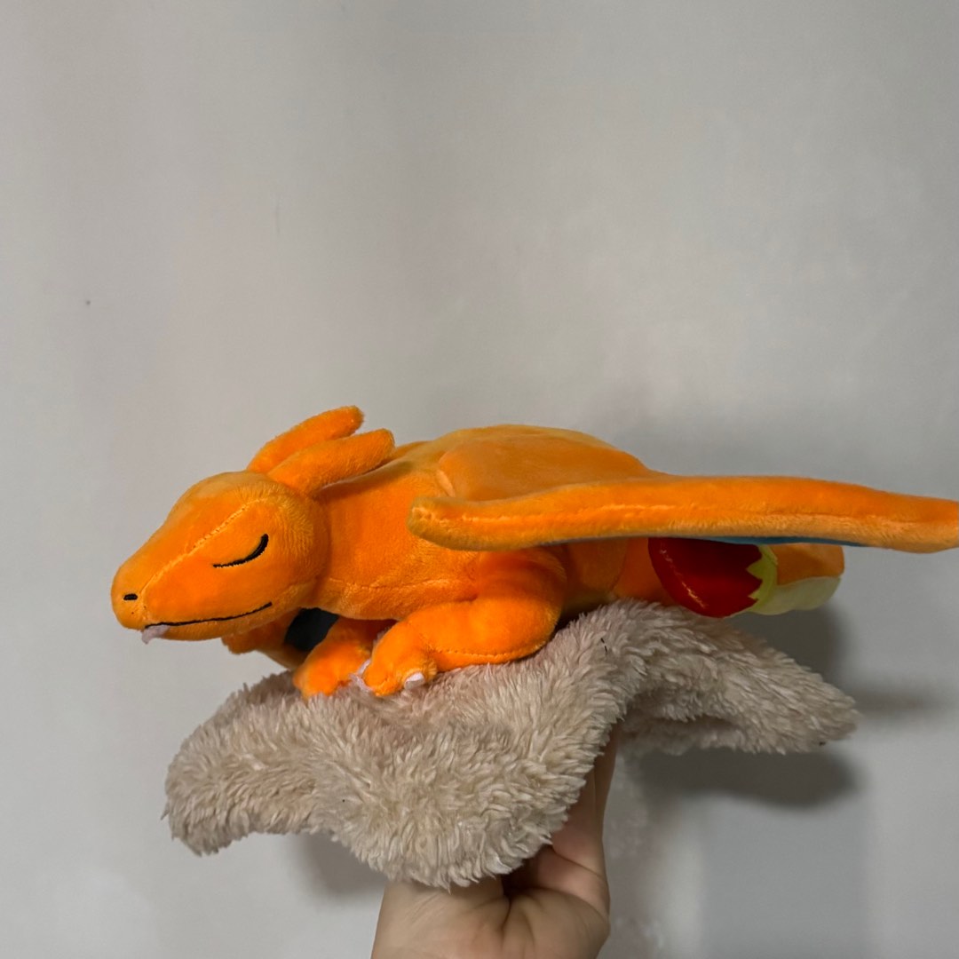 Charizard Dehumidifier Shell Plush, Hobbies & Toys, Toys & Games on ...