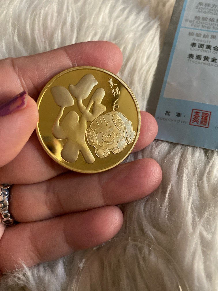 Gold coin collectible pig, Hobbies & Toys, Memorabilia & Collectibles ...