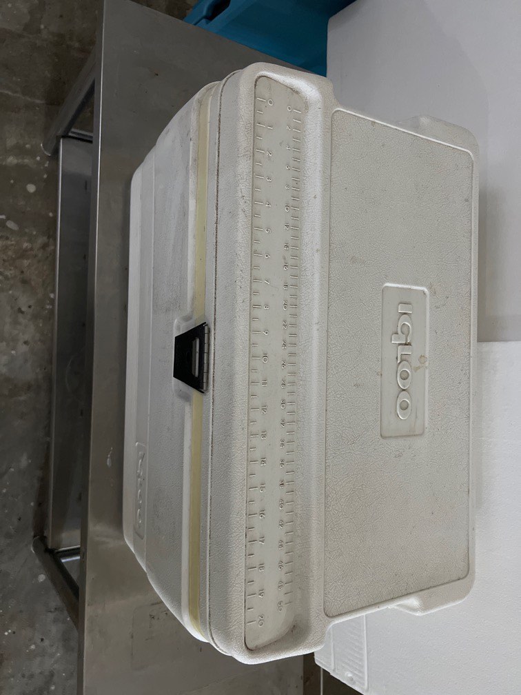 Igloo Ice Box / Igloo Coolers, Furniture & Home Living, Home ...